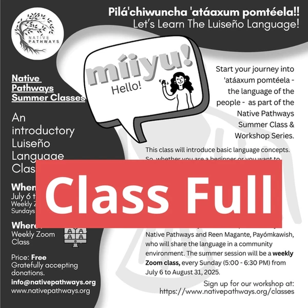 Classes & Workshops | Native Pathways, Art