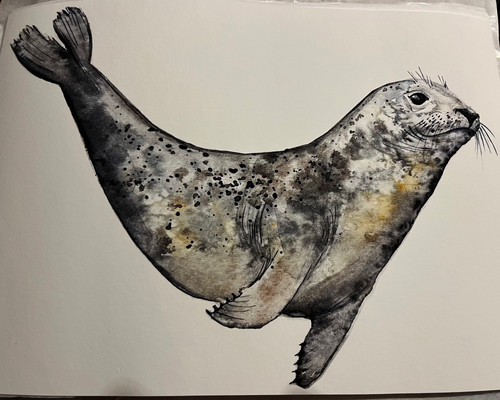 A4 watercolour Seal print | mysite-1