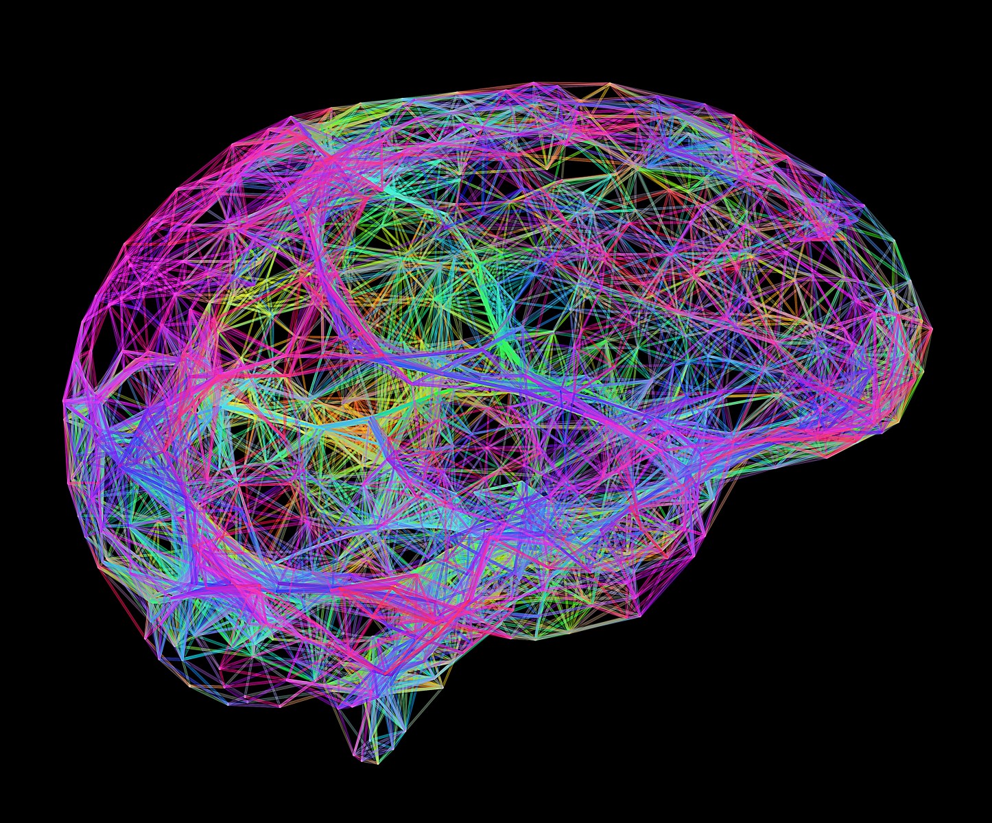 Neuroscience of Fear Circuitry
