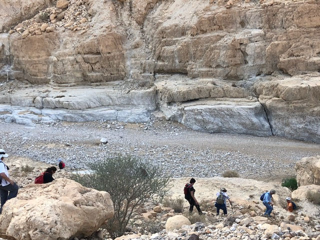 Travel: Day Tour - Sedom Mountain and Nahal Hemar by the Dead Sea