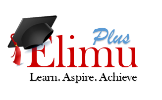 Homeschooling, Online Classes & Tuition Services | Elimu Plus | Nairobi ...