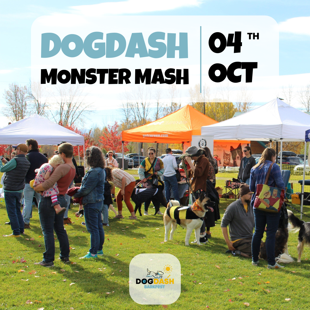 DogDash Monster Mash 2025 | DOG DASH 3K