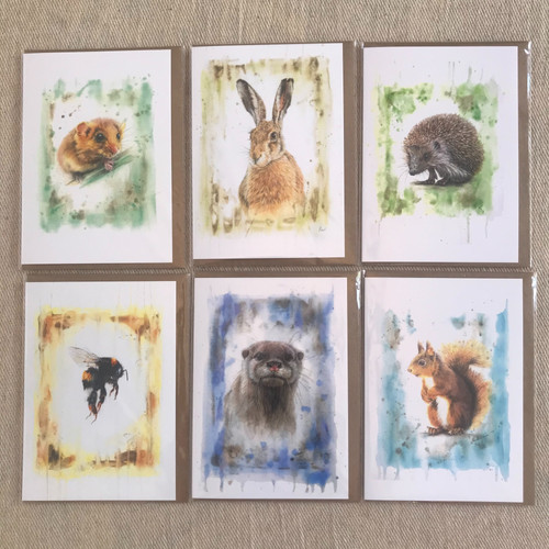 Set of British Endangered Species cards | penelfineart