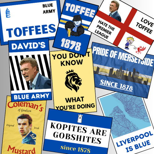 Everton 50 Sticker Bundle | Uk Football Stickers