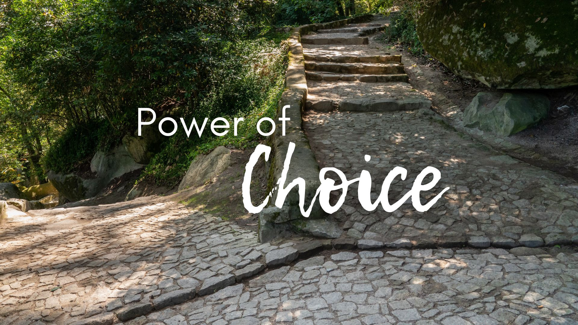 The Power of Choice: How Your Decisions Shape Your Life