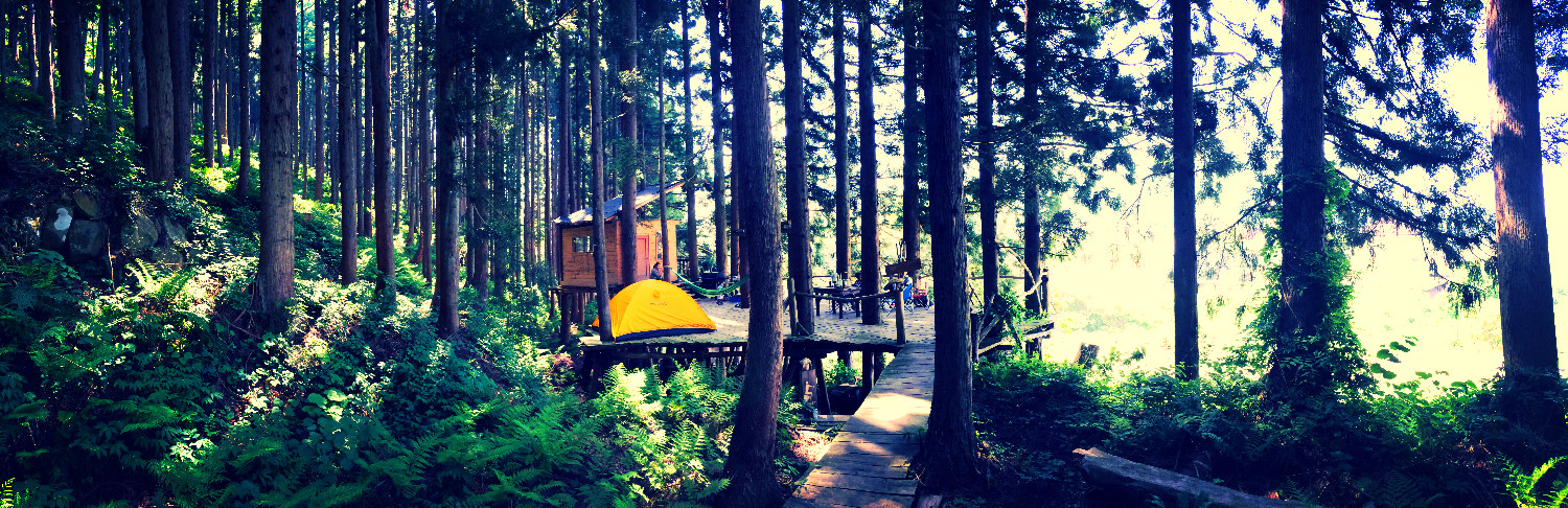 TREE CAMP予約 | greenfield