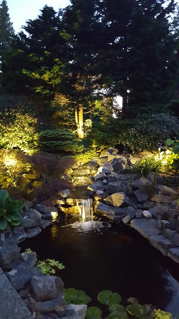 Artistic Lighting Design