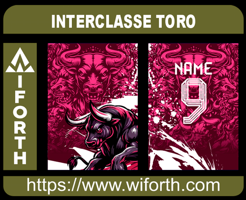 INTERCLASSE TORO DESIGN CONCEPT | Wiforth