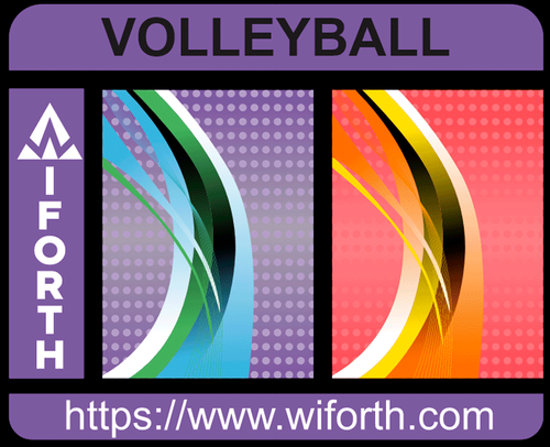 VOLLEYBALL DESINGS COLORS | Wiforth