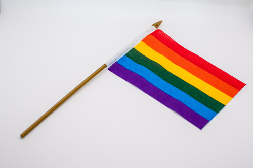 Mini Pride Flags | Fort Erie Pride Fest