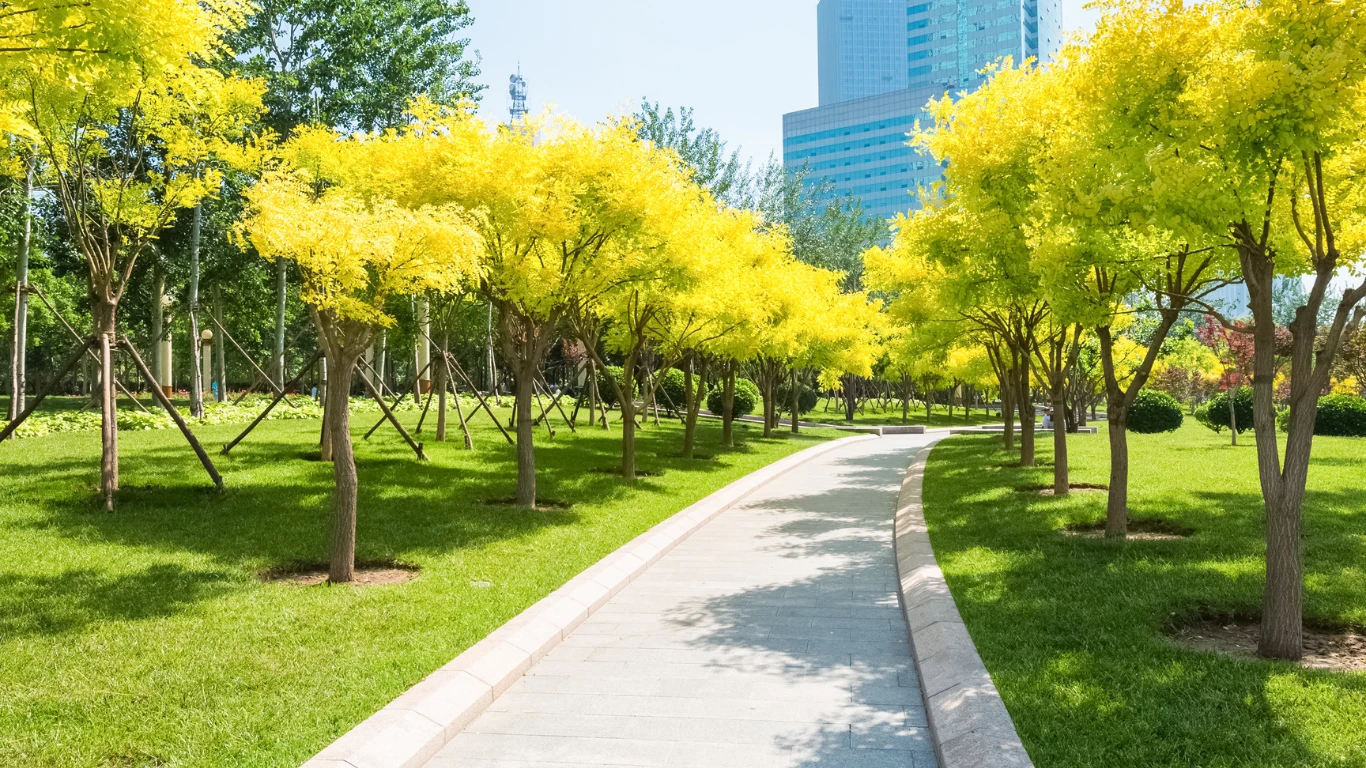 ESA Property Management | property management company