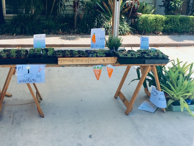 Kindergartens | Green Beginnings