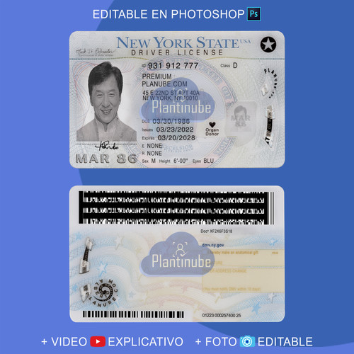 plantilla LICENCIA DE NEW YORK (v2) editable en photoshop (actualizado ...
