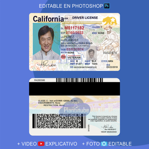 plantilla LICENCIA DE CALIFORNIA (v2) editable en photoshop ...