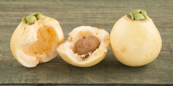 Jambo – a Fruta de MIL Benefícios!