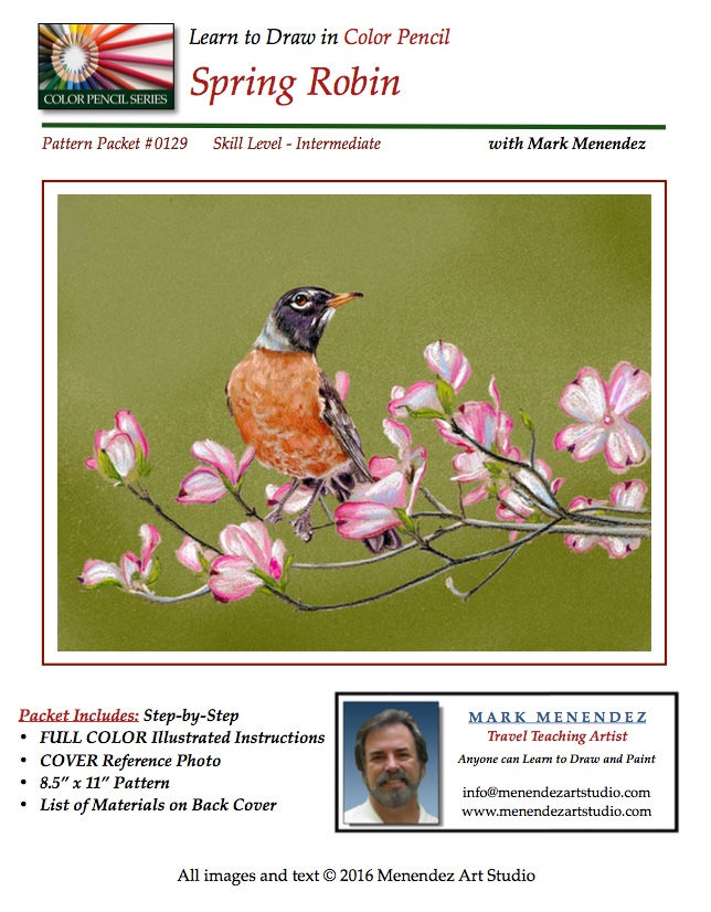 DIGITAL Spring Robin | mysite