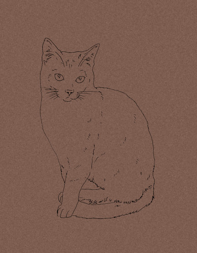 Extra Siamese Paper | mysite