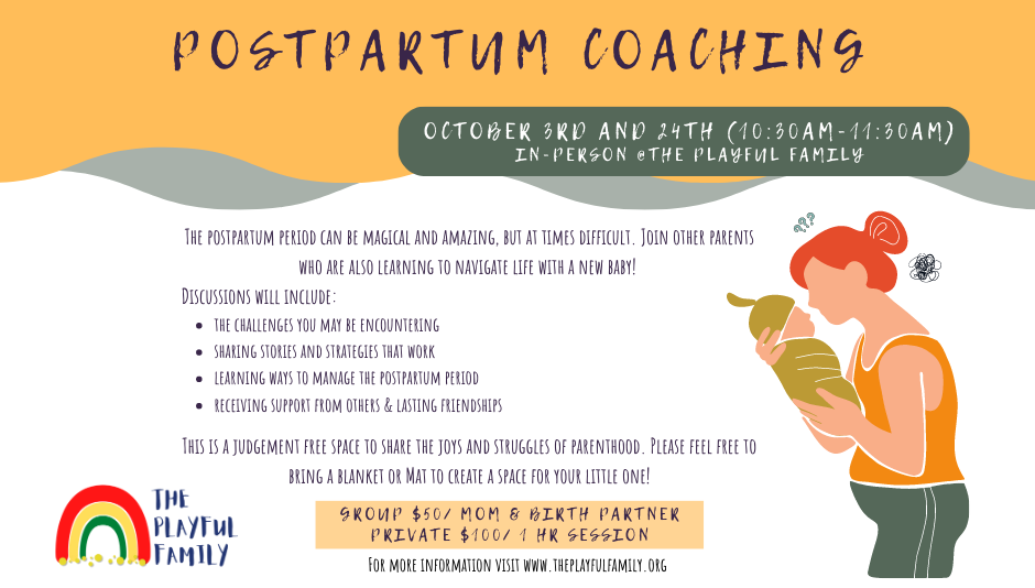 Postpartum Coaching (2-Day Group Session Event) | The Playful Family