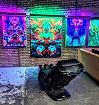 Ant Life: Living Wall Art | Denver, CO