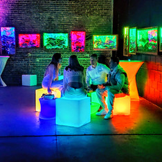 Psychedelic Art Gallery And Venue | Ant Life | Denver, CO