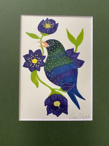 Sarah the Starling | Darling Starling Bir