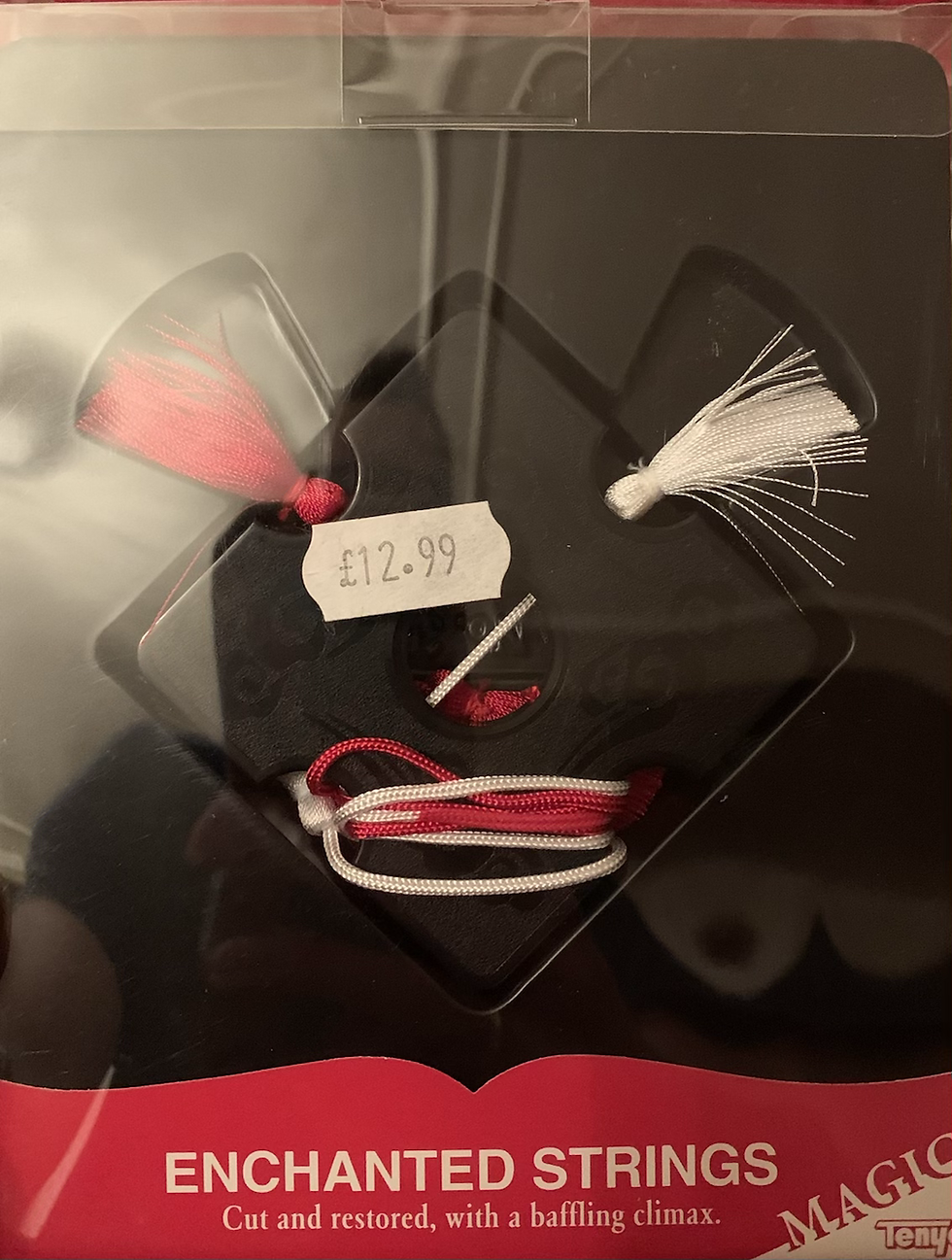 Tenyo & Japanese Magic | The Enchanted Rabbit