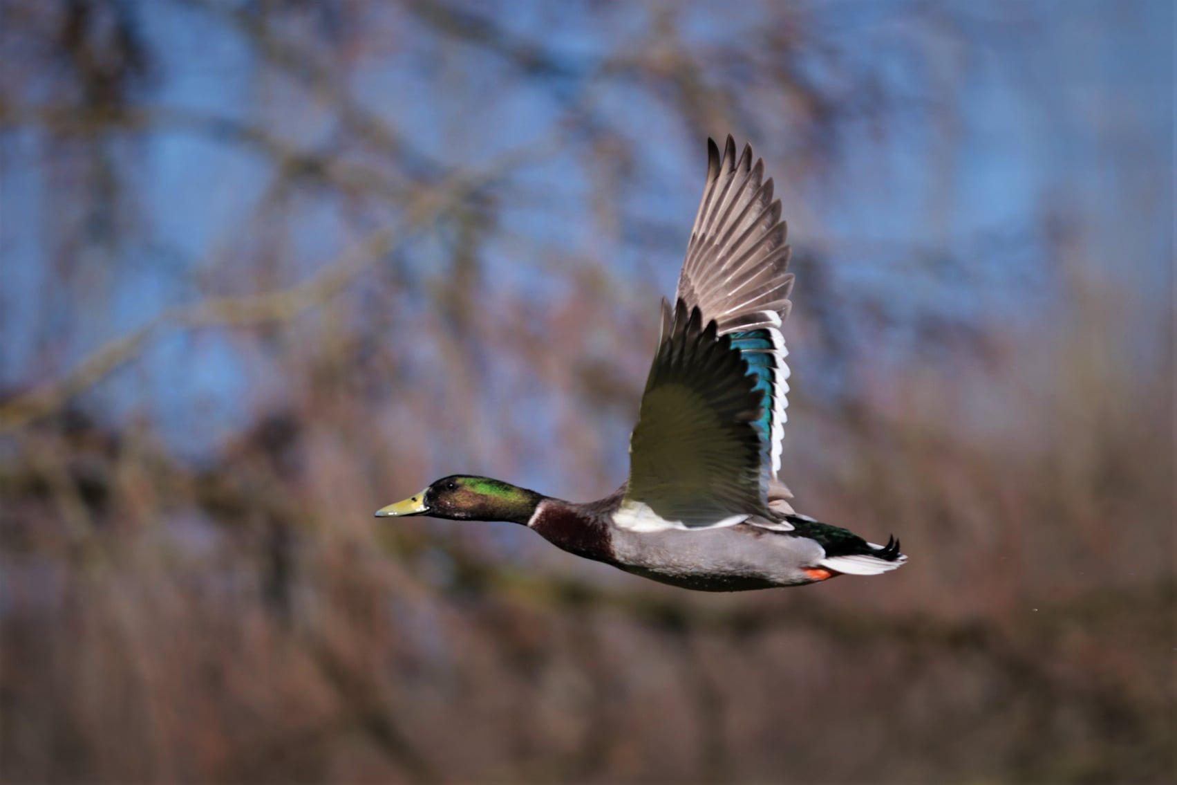 Directions and Contact | Friends of Rivacre Valley | Ellesmere Port