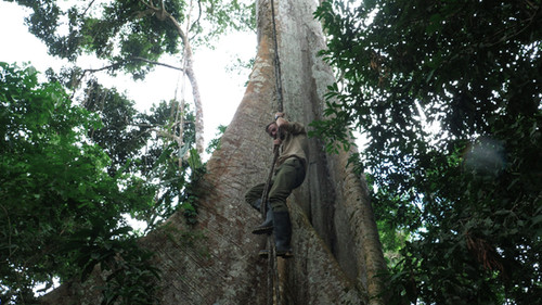 Explore the Enchanting Amazon Wilderness | Tarapoto Amazonas JT