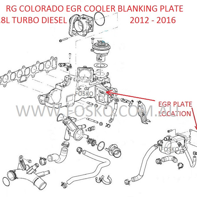 RG COLORADO EGR COOLER BLANKING PLATE F20 | fosko