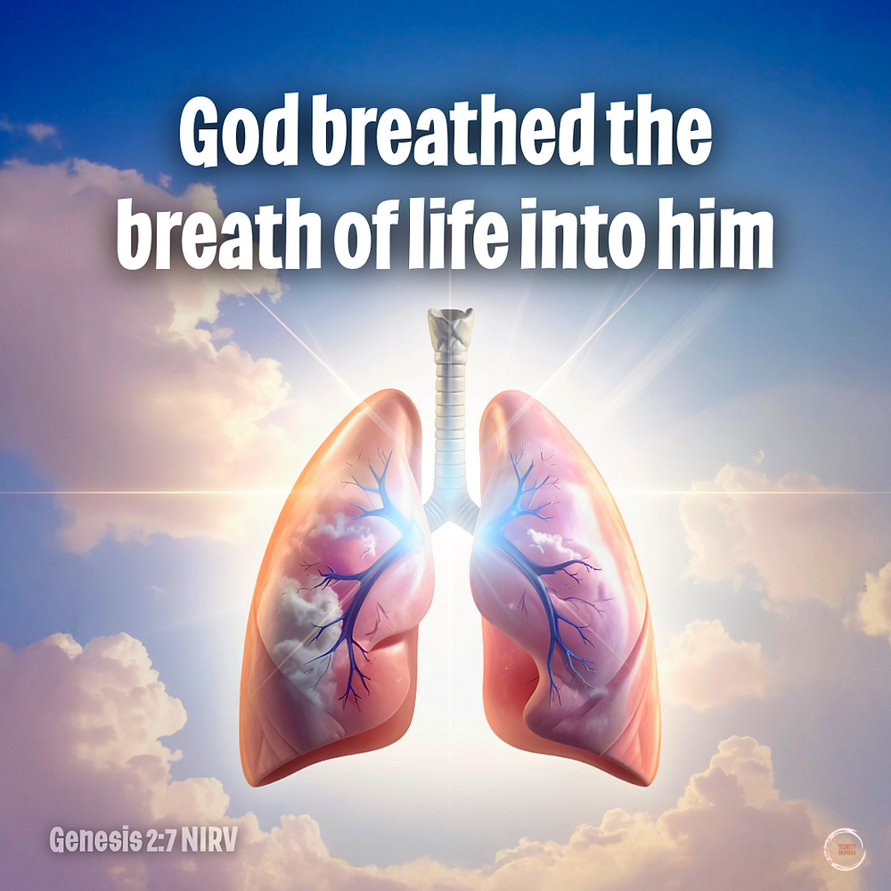 God breathed the breath of life into him. ‭‭Genesis‬ ‭2‬:‭7‬ ‭NIRV‬