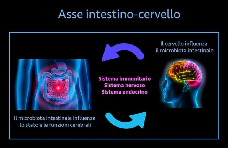 Autismo asse intestino-cervello