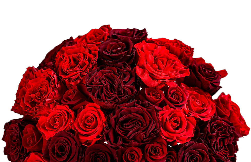 International Distributor of the Finest Ecuadorian Preserved Roses