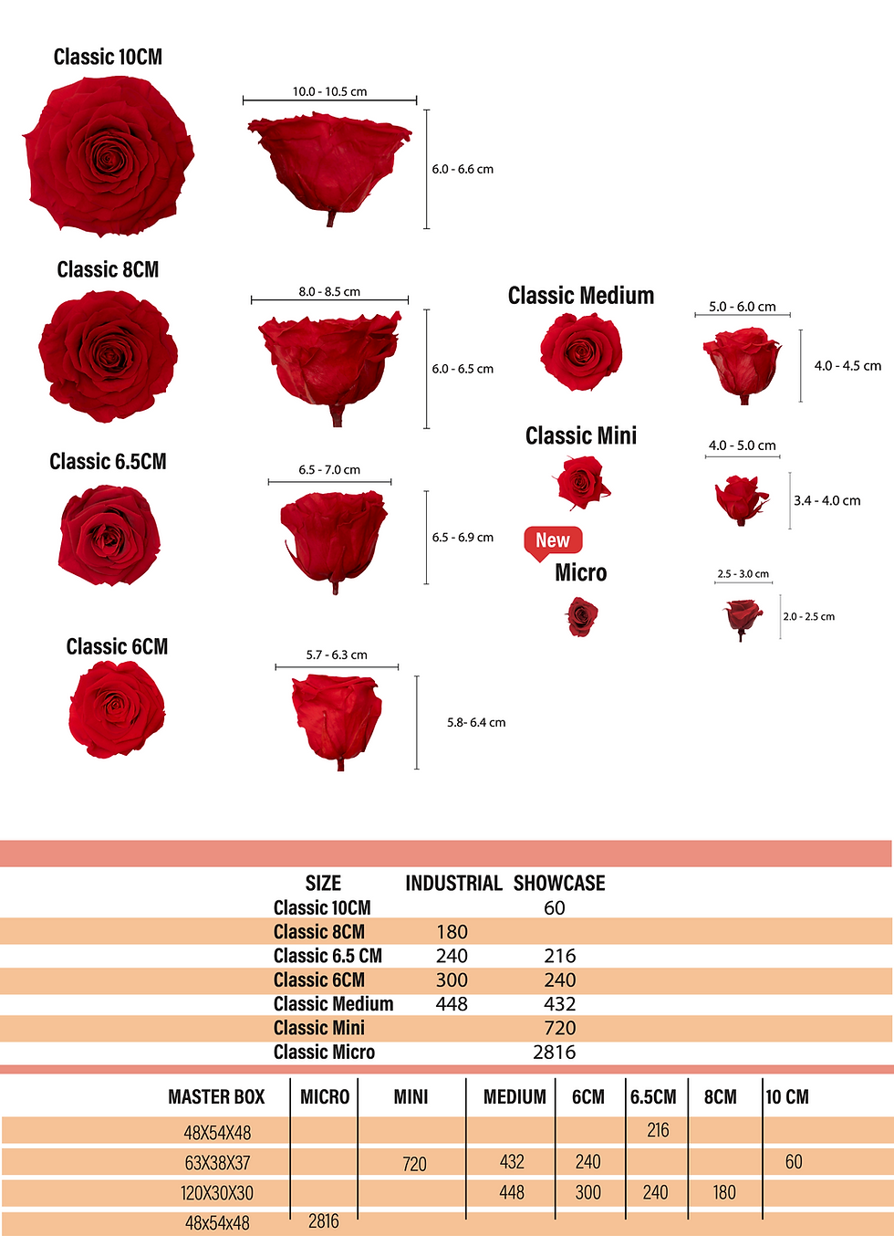 Products | Ecuadorian Preserved Roses