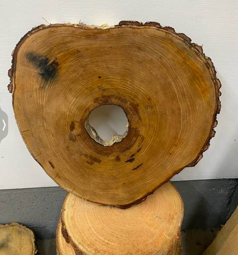 Sweet chestnut rings with hole in | JRC Timber
