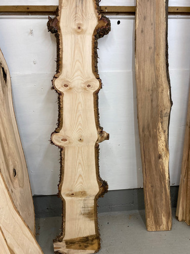 Monkey puzzle | JRC Timber