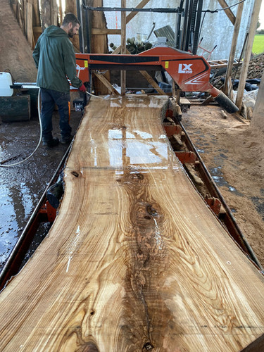 Ash board 4m | JRC Timber