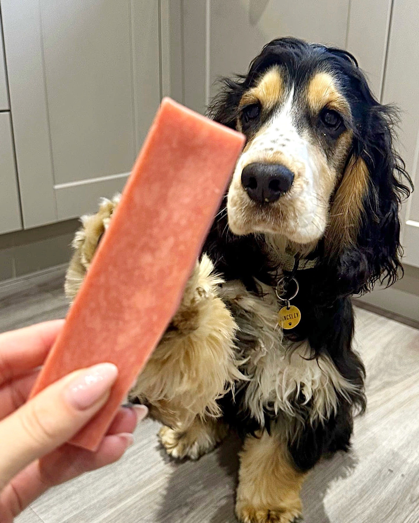 Yak Bars | Yorkshire Dog Treats