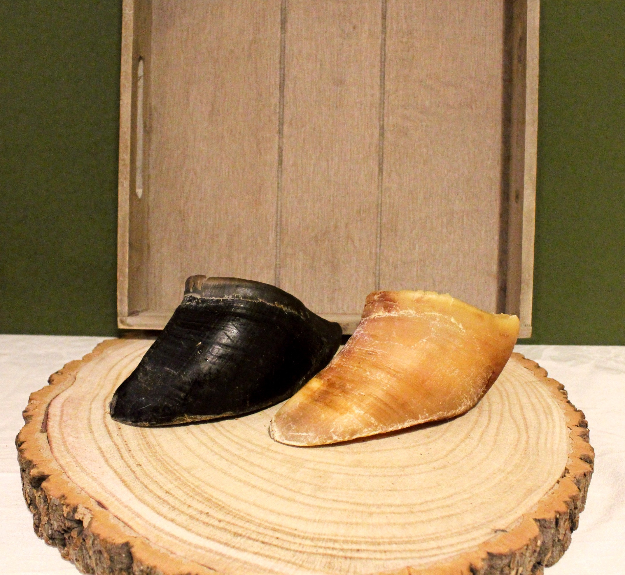 Beef Hooves | Yorkshire Dog Treats