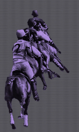 In Line Polo Ponies Wall Art | Kos Evans Photographs Prints Decor