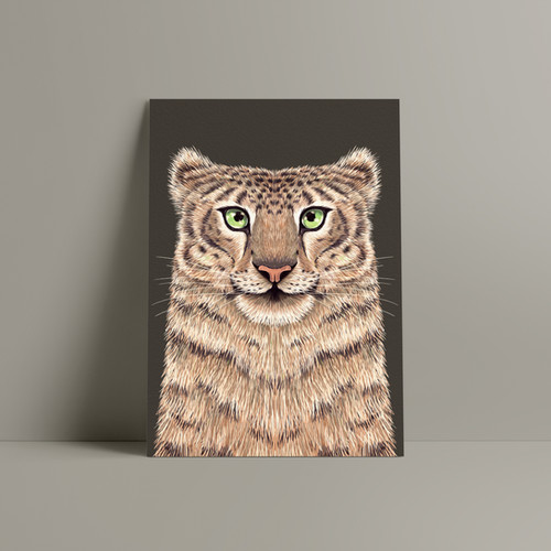 Snow Leopard - Art Print (A4) | PashooPakshee