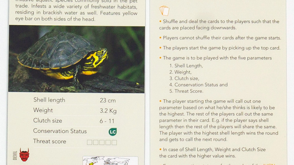 shell-shocker-card-game