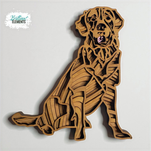 Patient Lab | Brilliant Elements