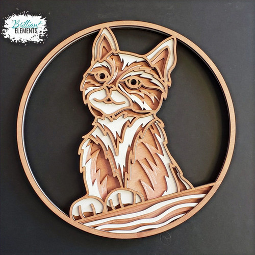 Curious Cat | Brilliant Elements