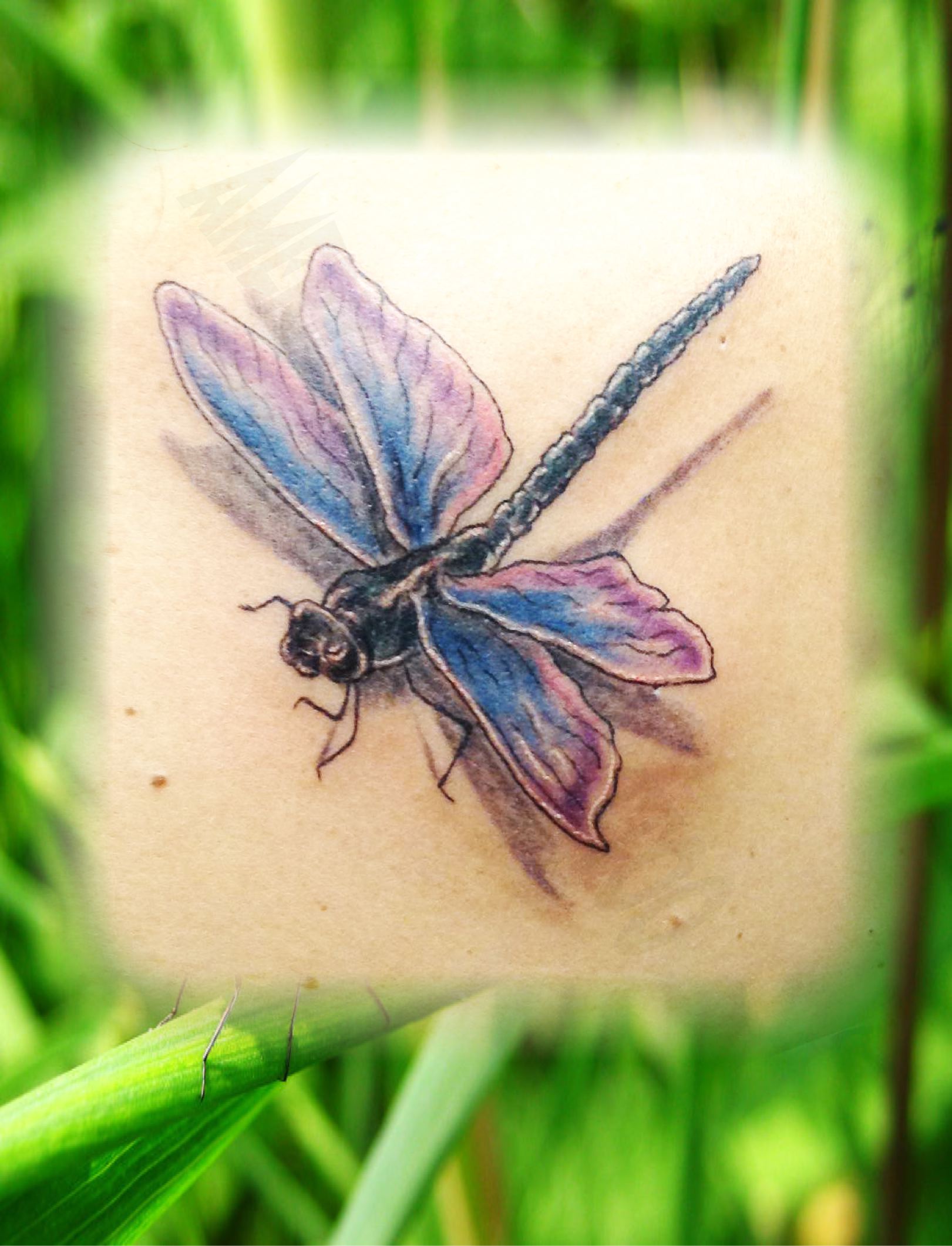 Tattoo Artist Red | americandragontattoo