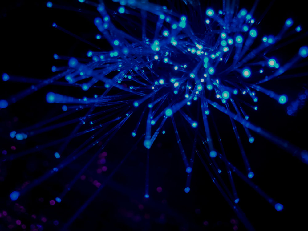 What is an extranet and what is it used for?