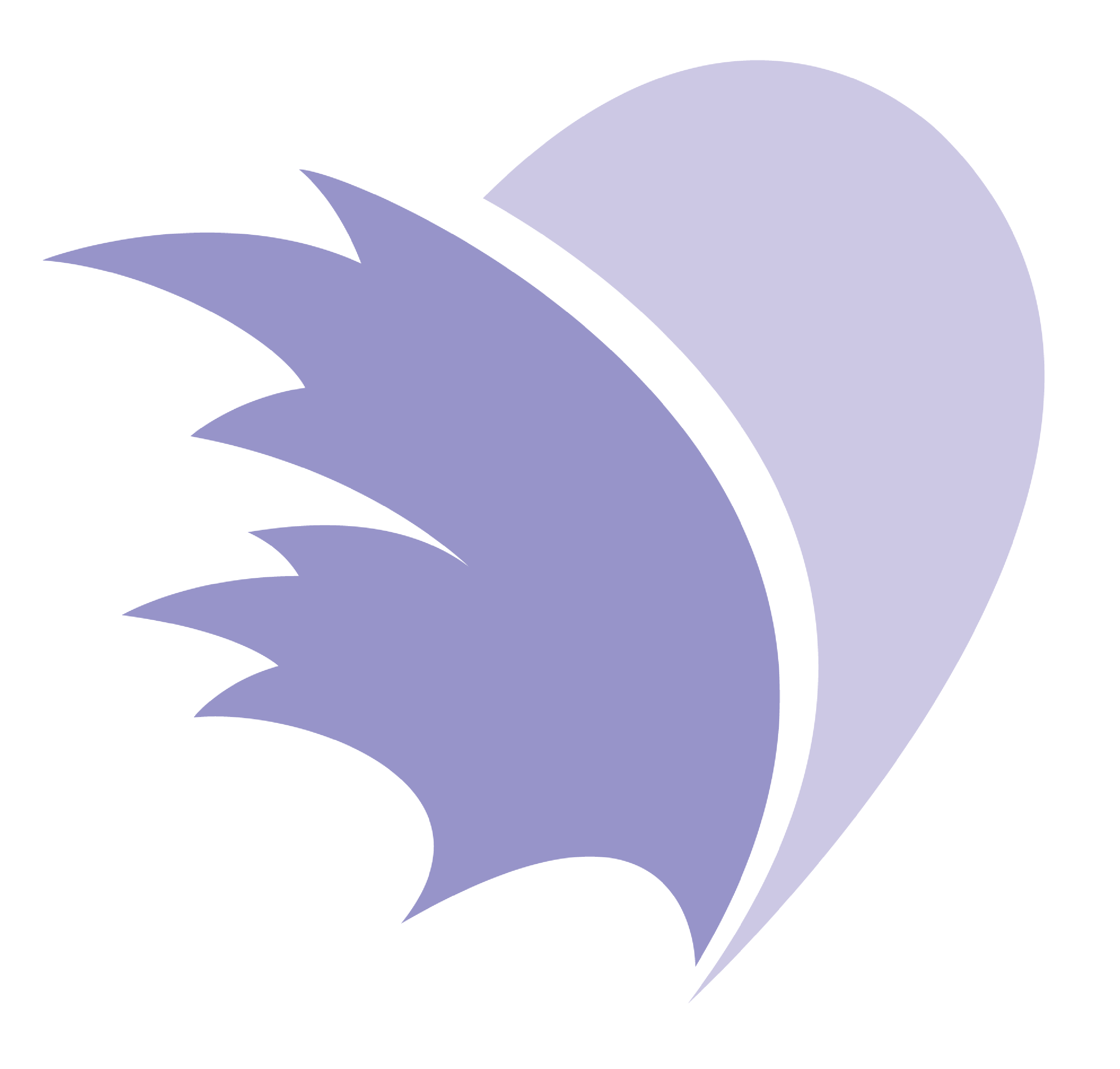 Dr. David Christiansen