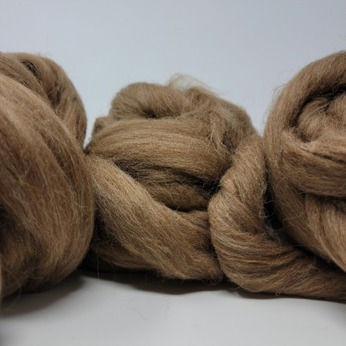 Natural color Manx Loaghtan roving | Wildwool Farm