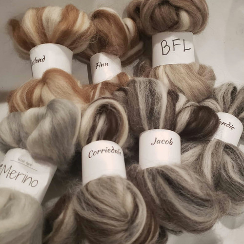 Natural Colored Two-Tone Sample Pack | Wildwool Farm