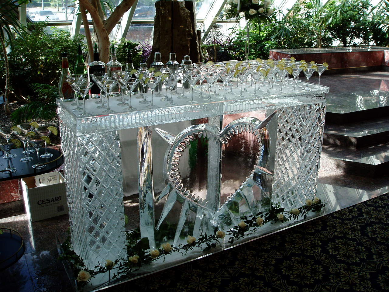 ICE SCULPTURES | Aqua Ice