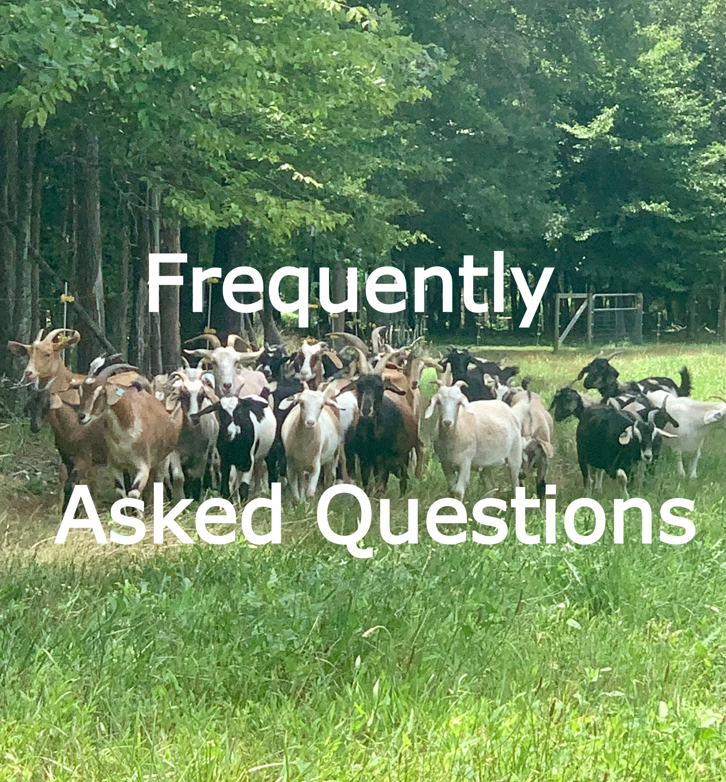 Rowland Hills Farm at Peter Chavez blog